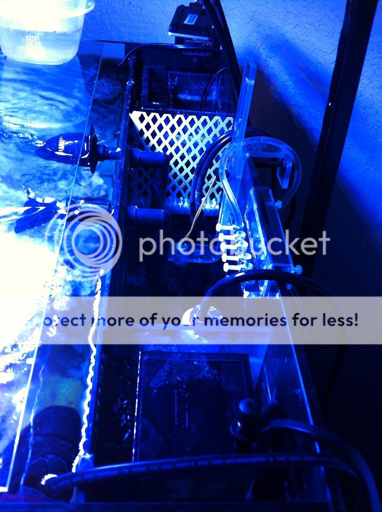 AIO Build - JBJ 30G Rimless Aquarium Build | Reef2Reef