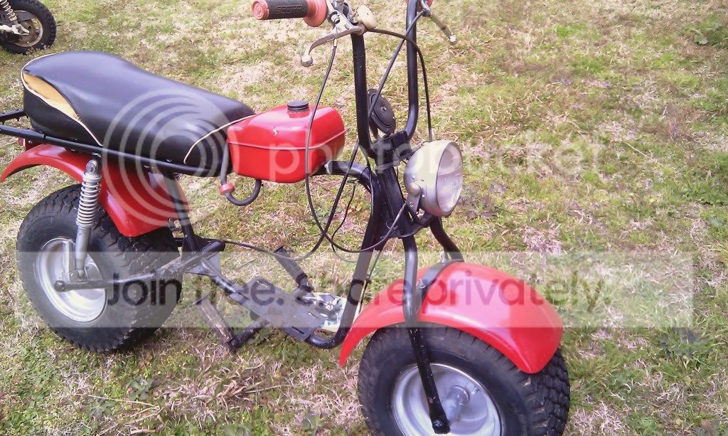 Bird Terra Torque | OldMiniBikes.com